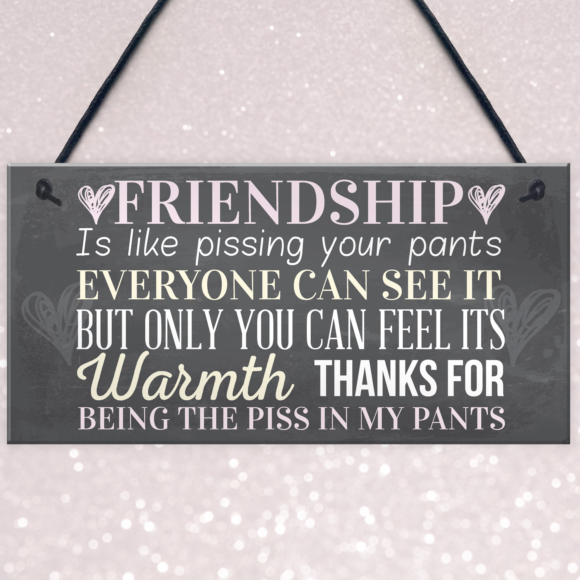 Best Friend Sign Friendship Gift Funny Thank You Novelty Birthday Chic ...
