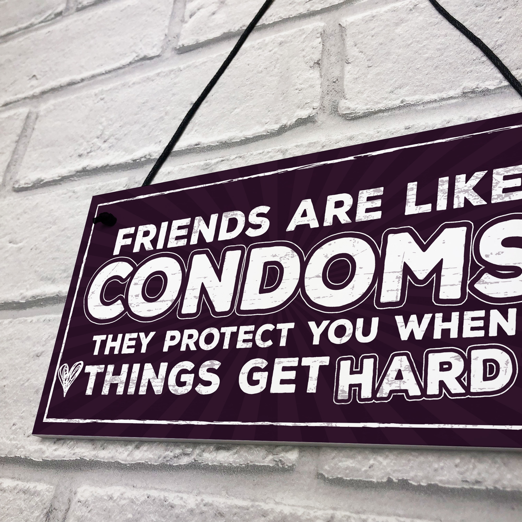 Funny Rude Friendship Sign Best Friend Gift Novelty Birthday Hanging ...