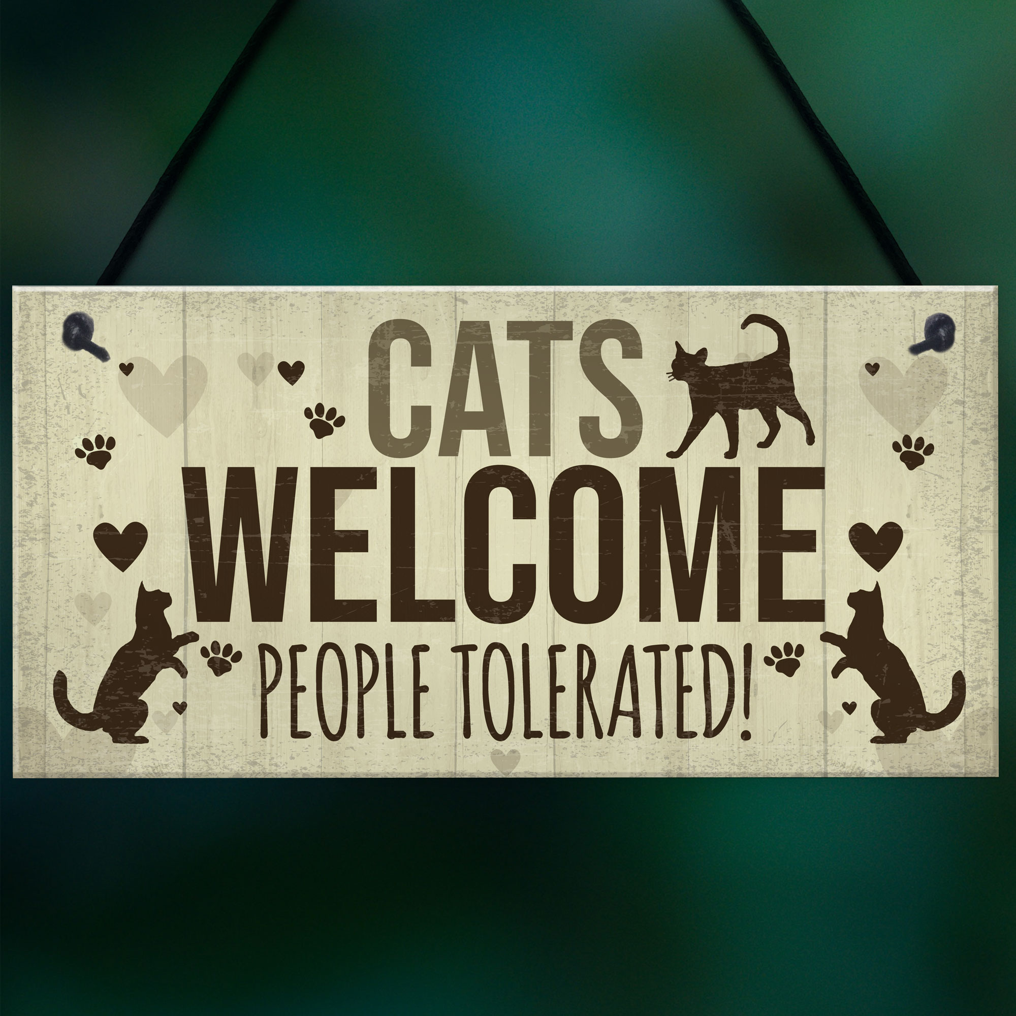 Cat Signs For Home Funny Cat House Sign Gate Door Plaque Pet Animal ...