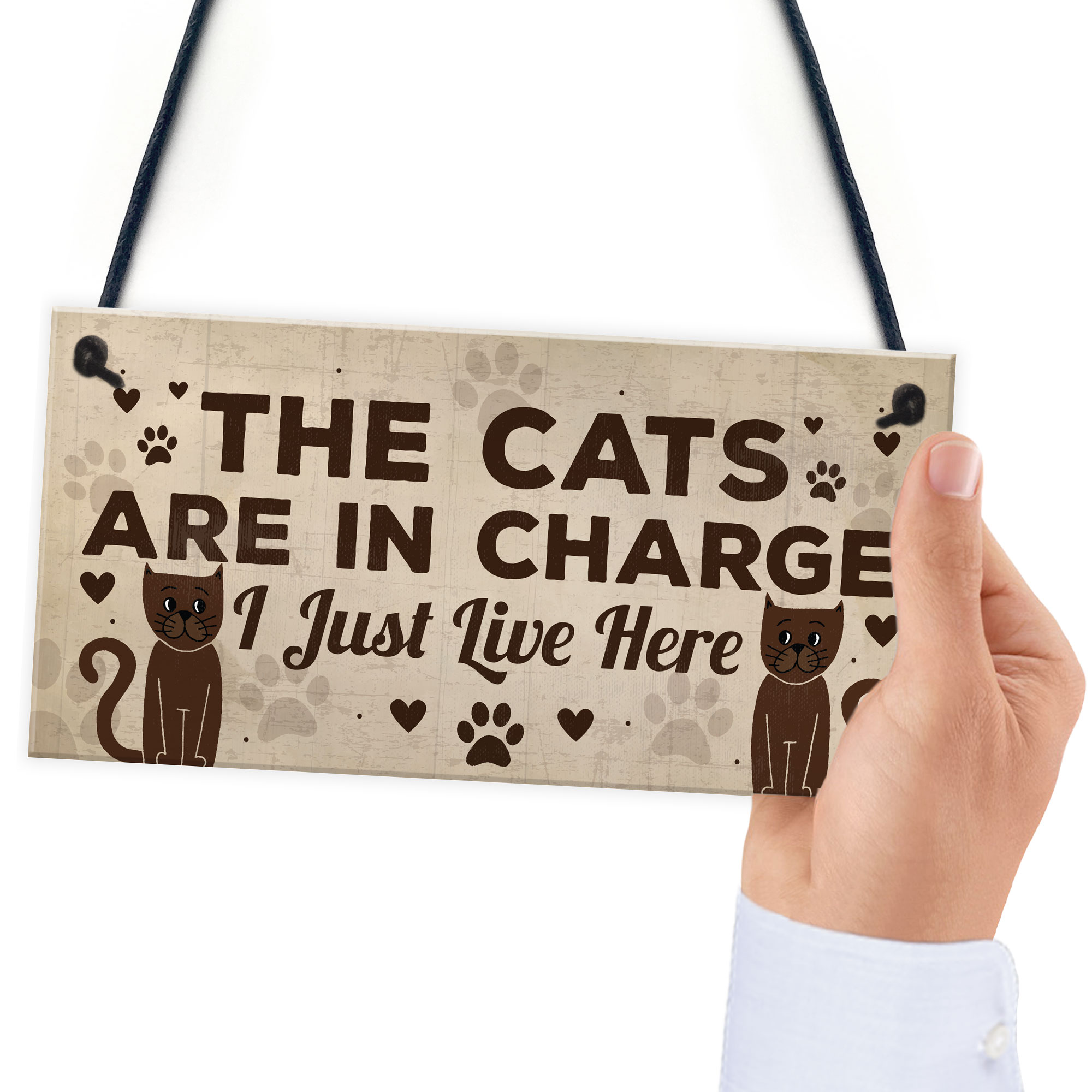 Funny Cat Gifts For Cat Lovers Gift For Women Home Decor Animal Sign ...
