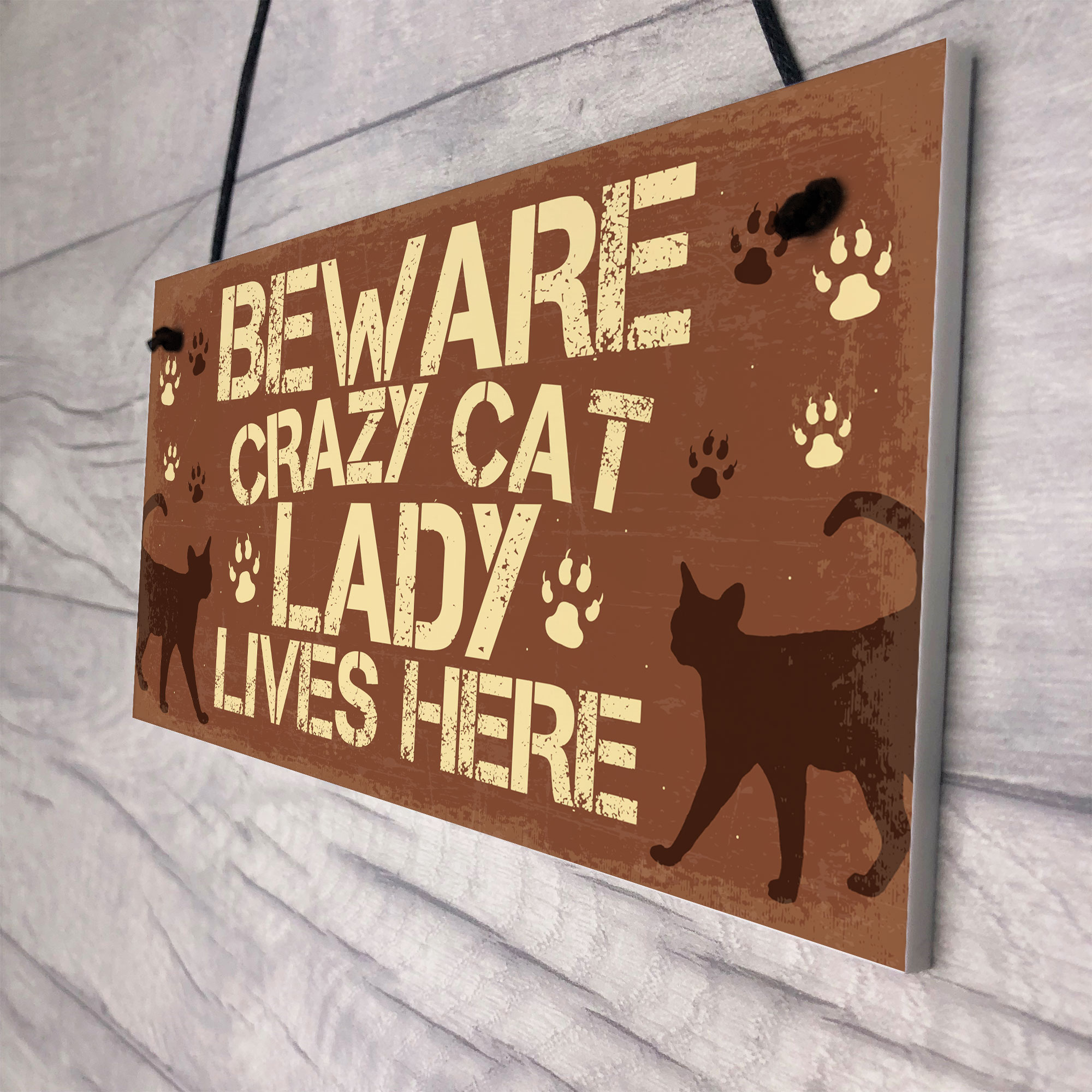 Novelty Beware Crazy Cat Lady Home Sign Funny Cat Birthday Gifts For ...