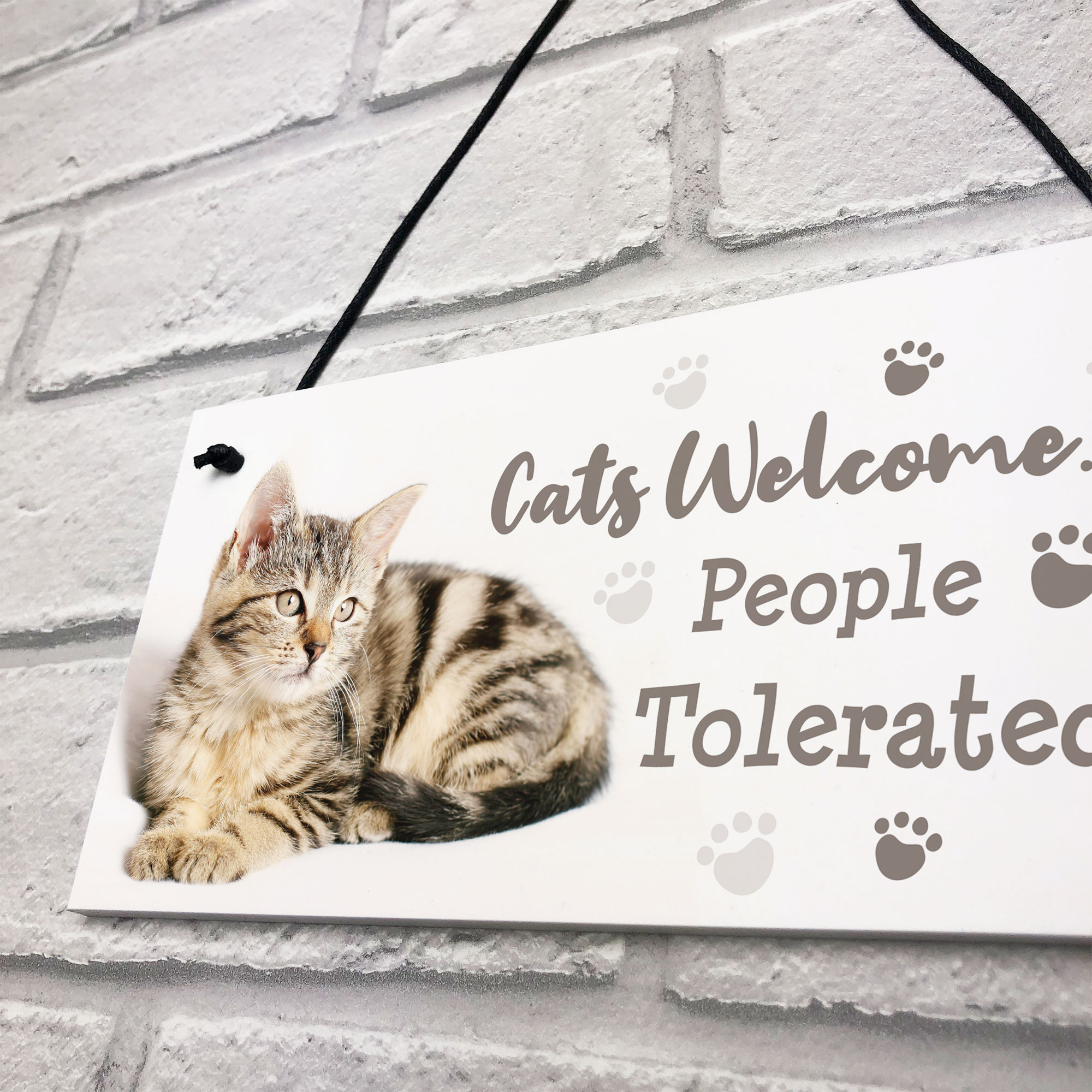 Cat Signs For Home Funny Hanging Cat House Sign Animal Cat Lover Gifts ...