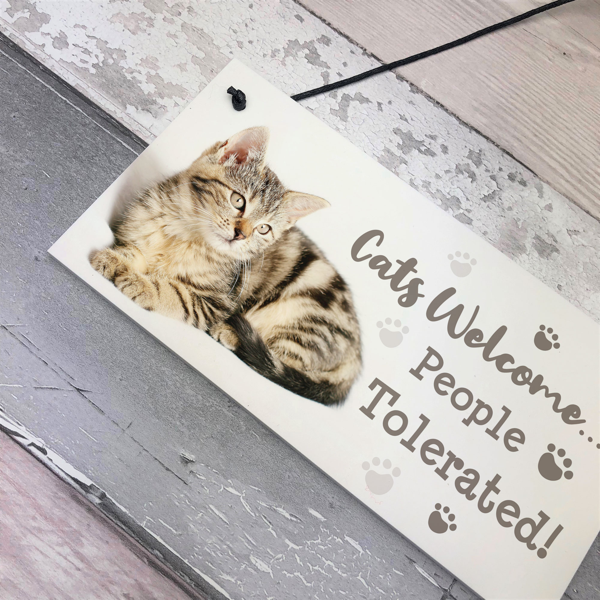 Cat Signs For Home Funny Hanging Cat House Sign Animal Cat Lover Gifts ...