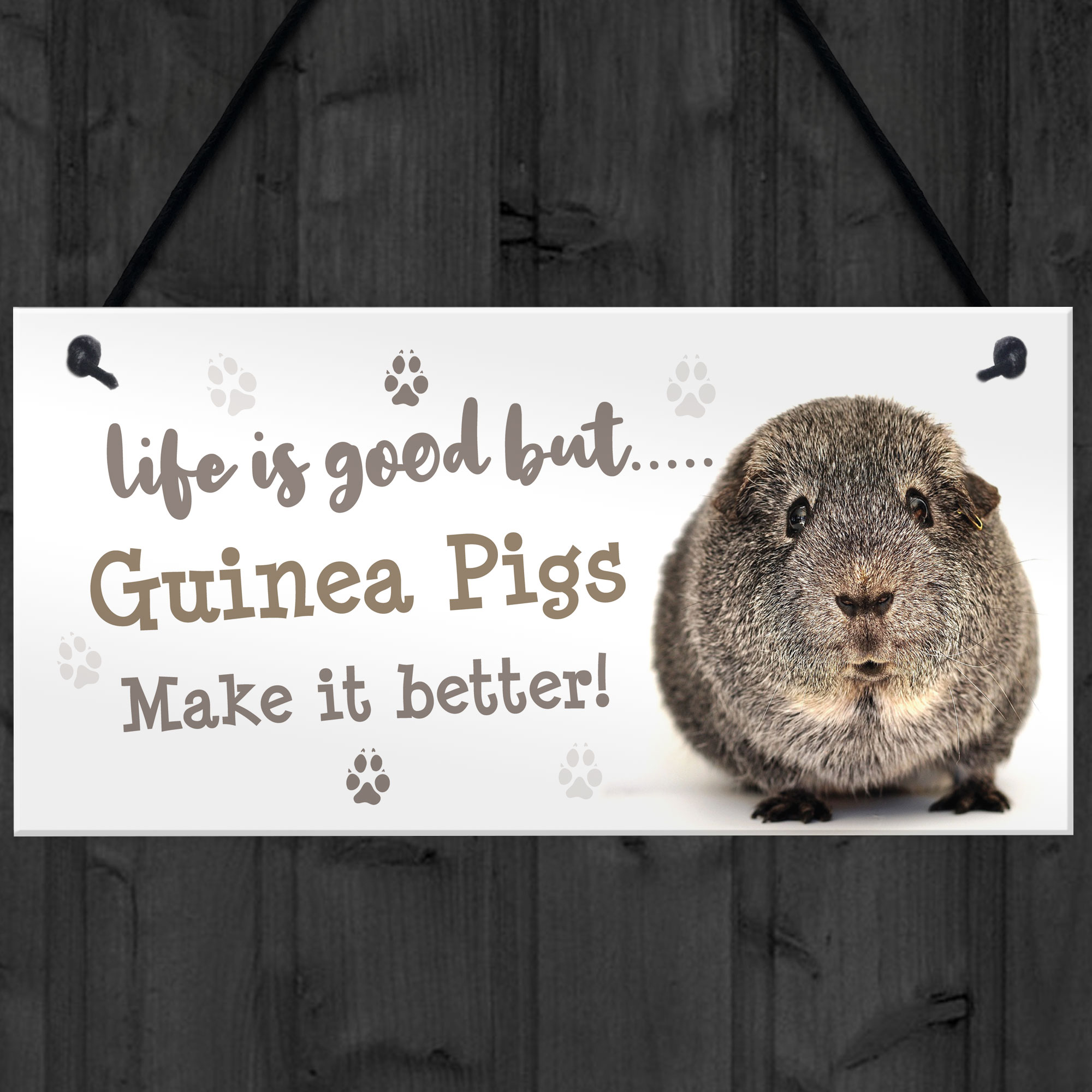 Guinea Pig Sign Handmade Gift Sign For Guinea Pig Owners Cute Pet Gifts ...