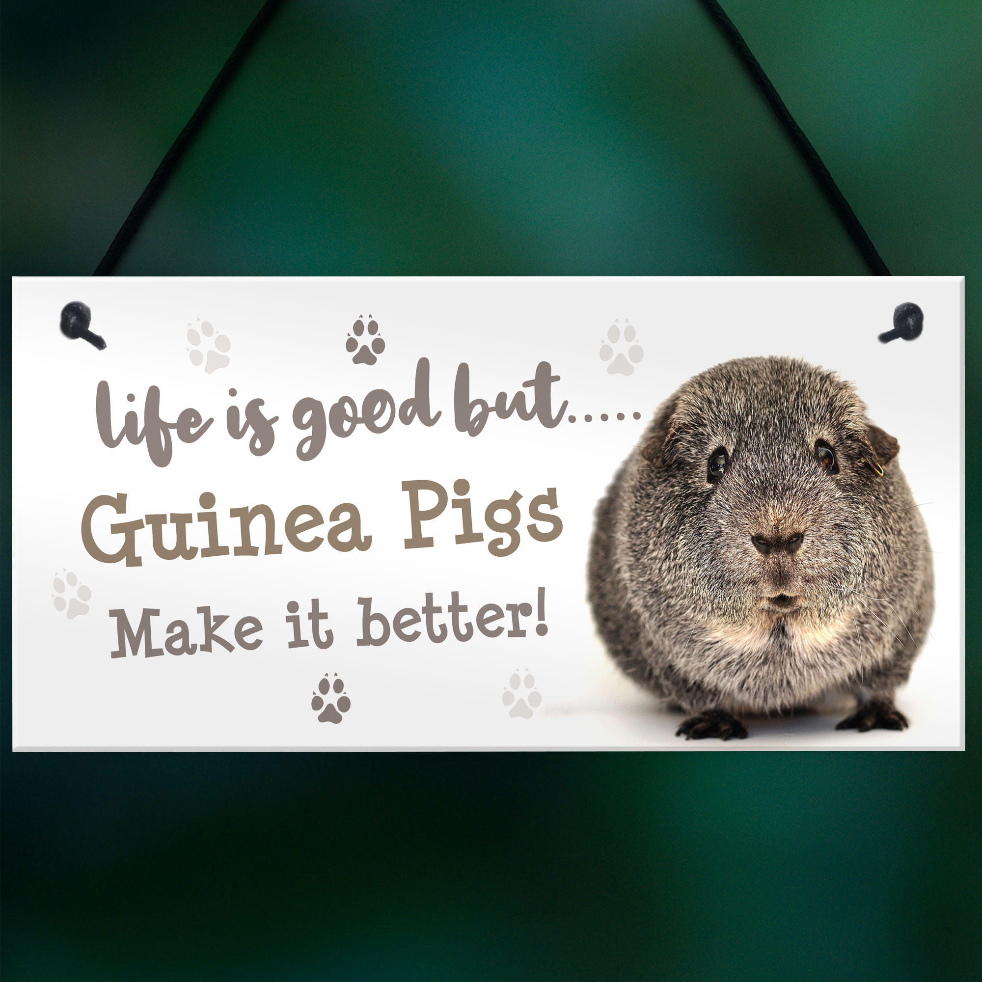 Guinea Pig Sign Handmade Gift Sign For Guinea Pig Owners Cute Pet Gifts ...