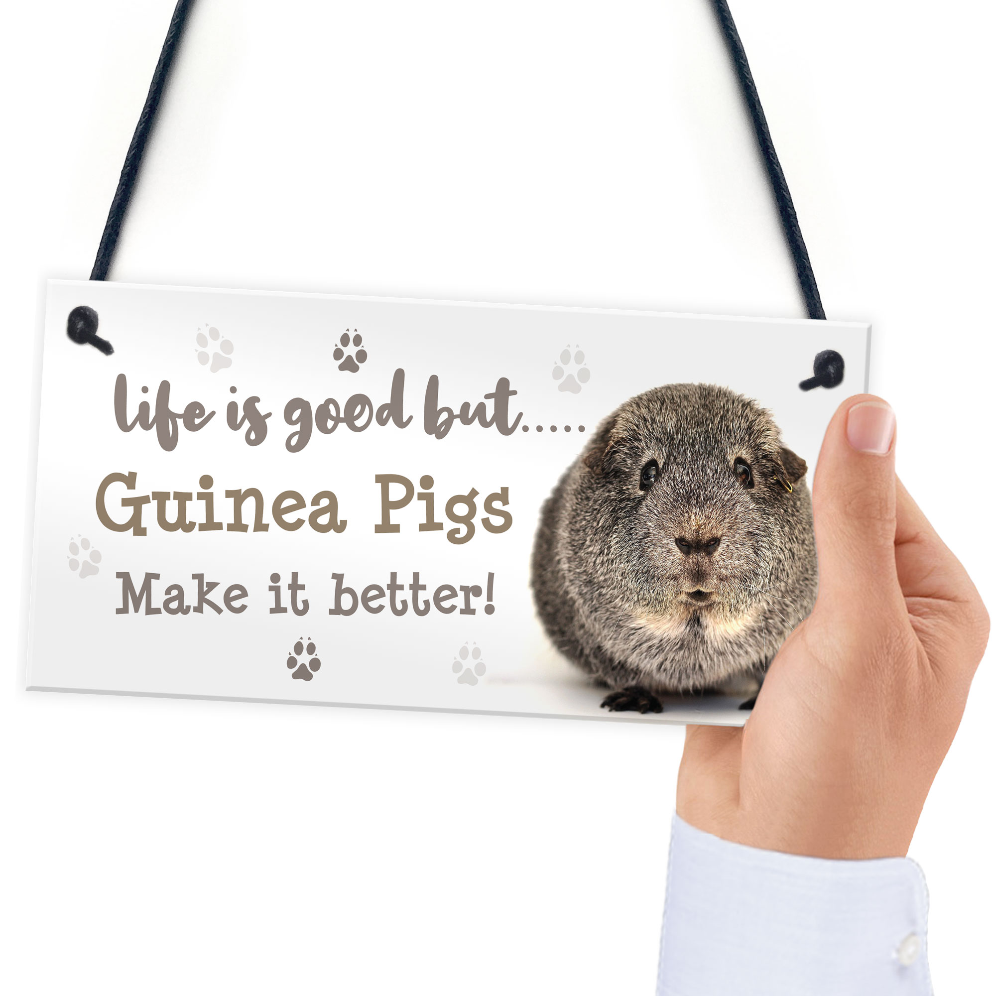 Guinea Pig Sign Handmade Gift Sign For Guinea Pig Owners Cute Pet Gifts ...