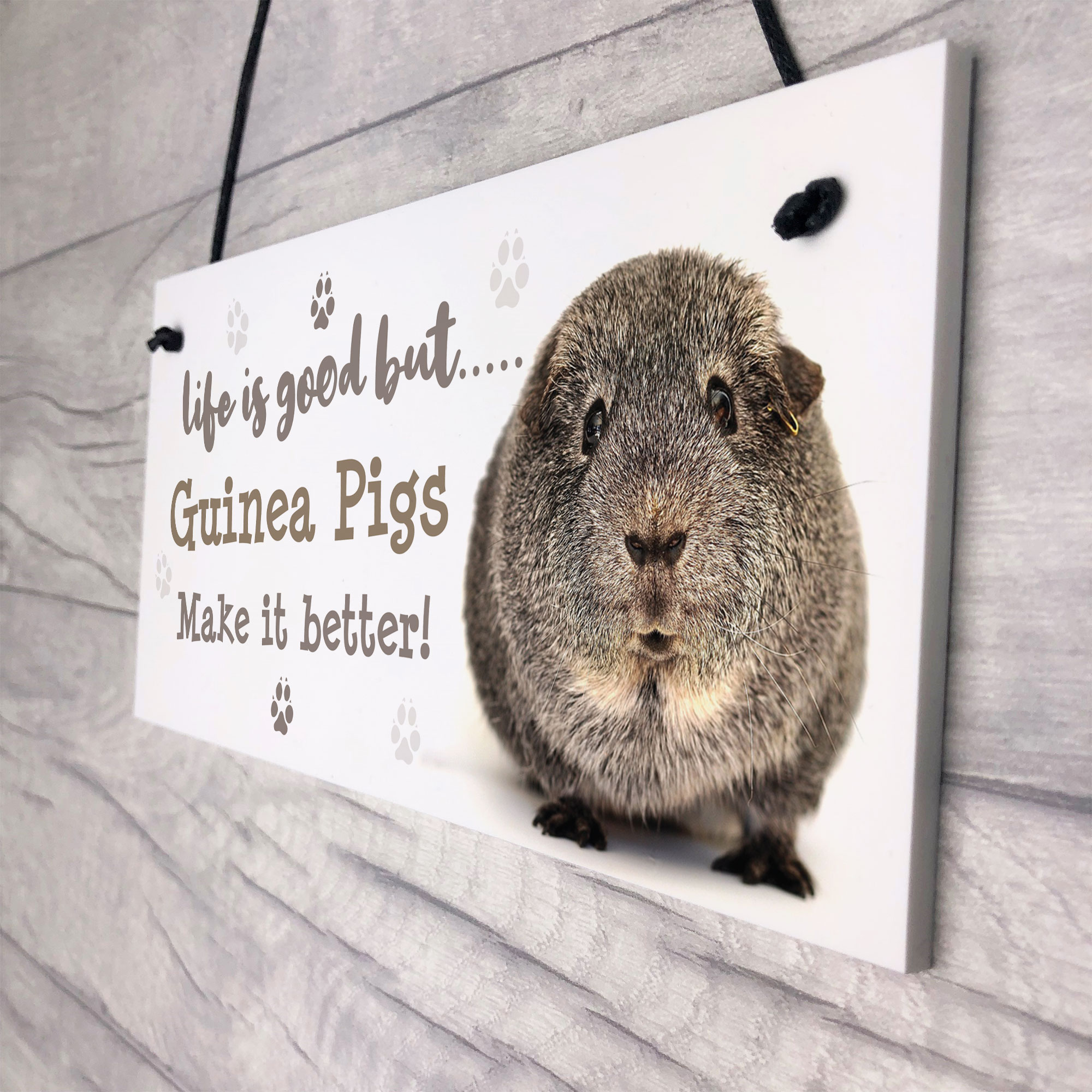 Guinea Pig Sign Handmade Gift Sign For Guinea Pig Owners Cute Pet Gifts ...