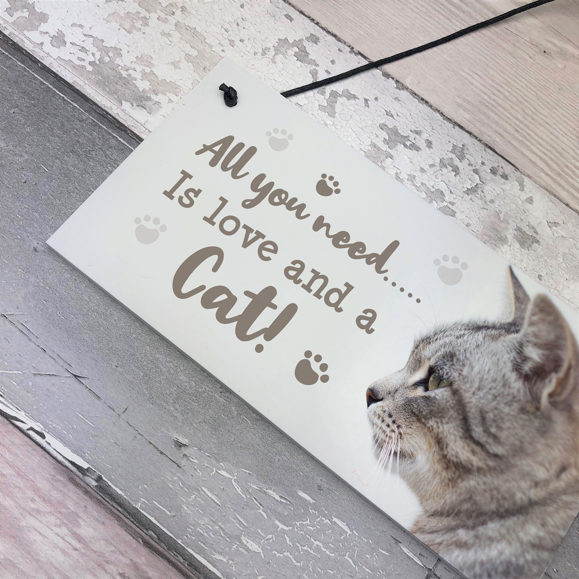 Cat Signs For Home Funny Cat Gift Home Wall Plaque Pet Animal Cat Lover ...