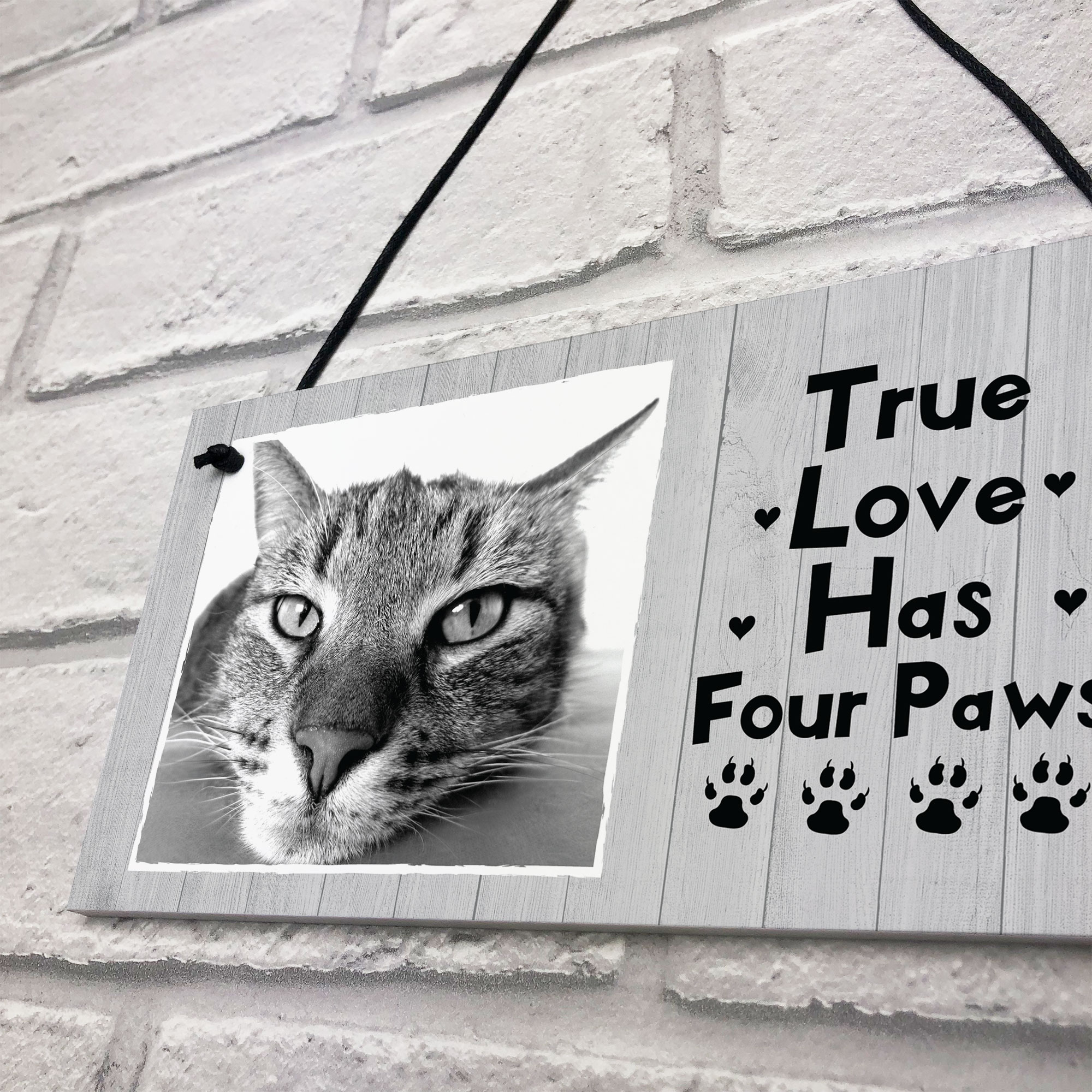 Personalised Cat Sign Photo Gift Sign Cat Lover Gift Pet Sign Home ...