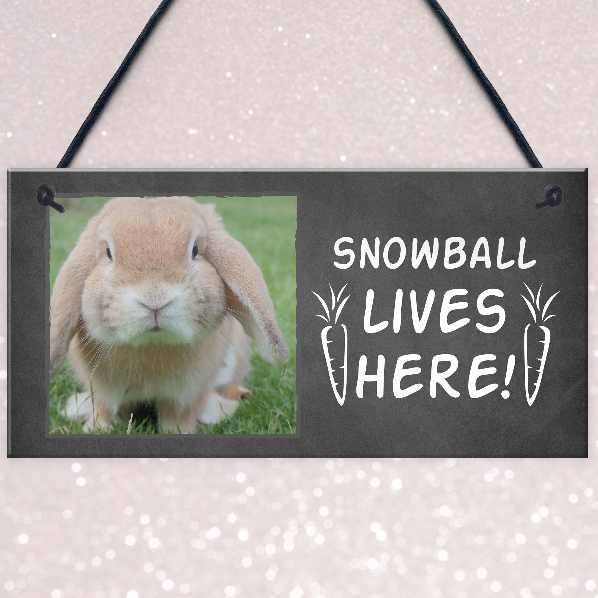 Novelty Sign For Rabbit PERSONALISED Bunny Sign Hutch Sign Home Decor ...