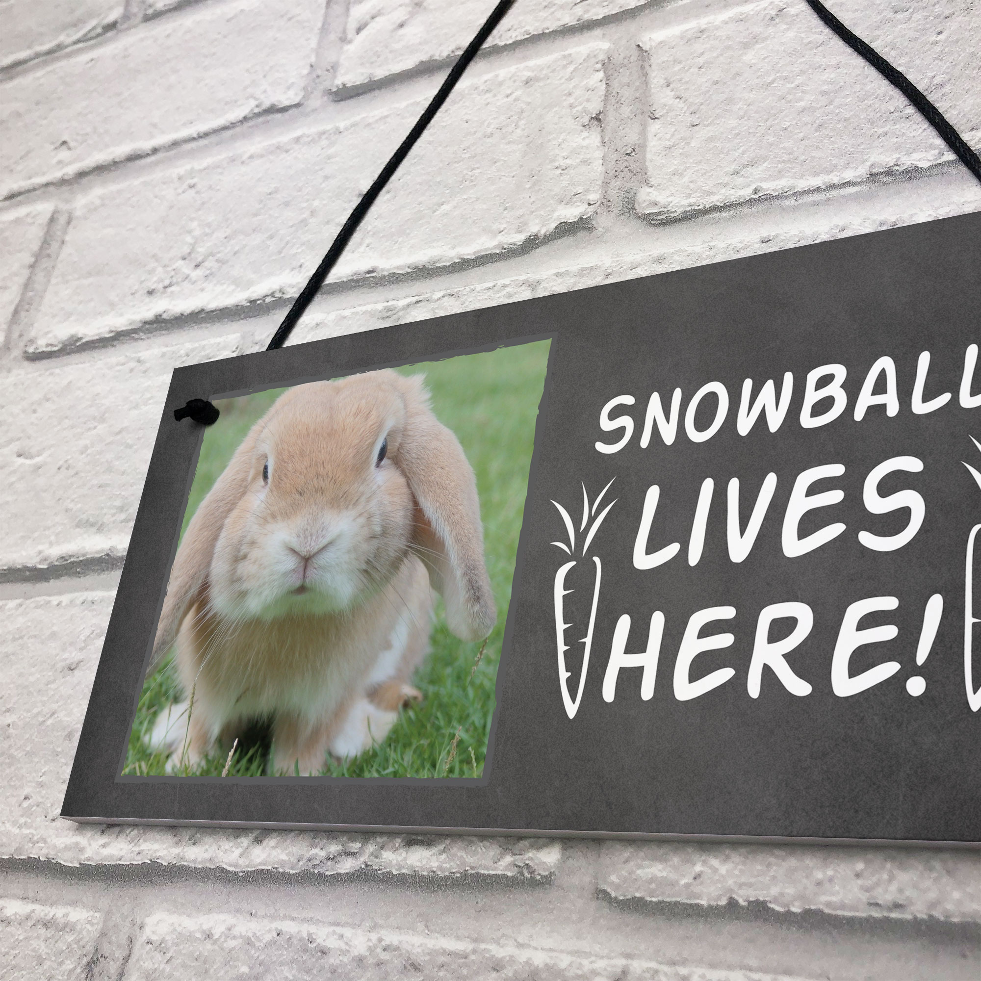Novelty Sign For Rabbit PERSONALISED Bunny Sign Hutch Sign Home Decor ...