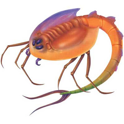 New Triops Starter Pack Triops Eggs.