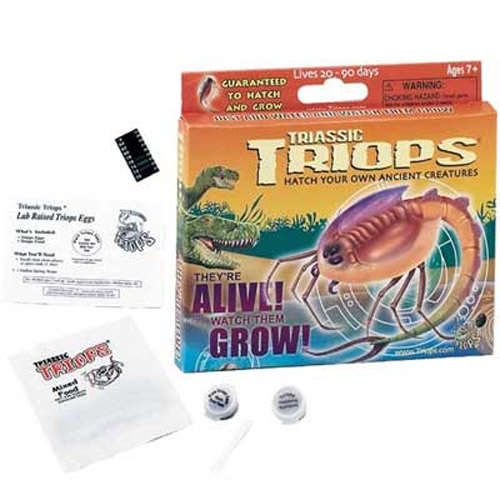 Triops Starter Pack. Triops Eggs. Boxed & New.